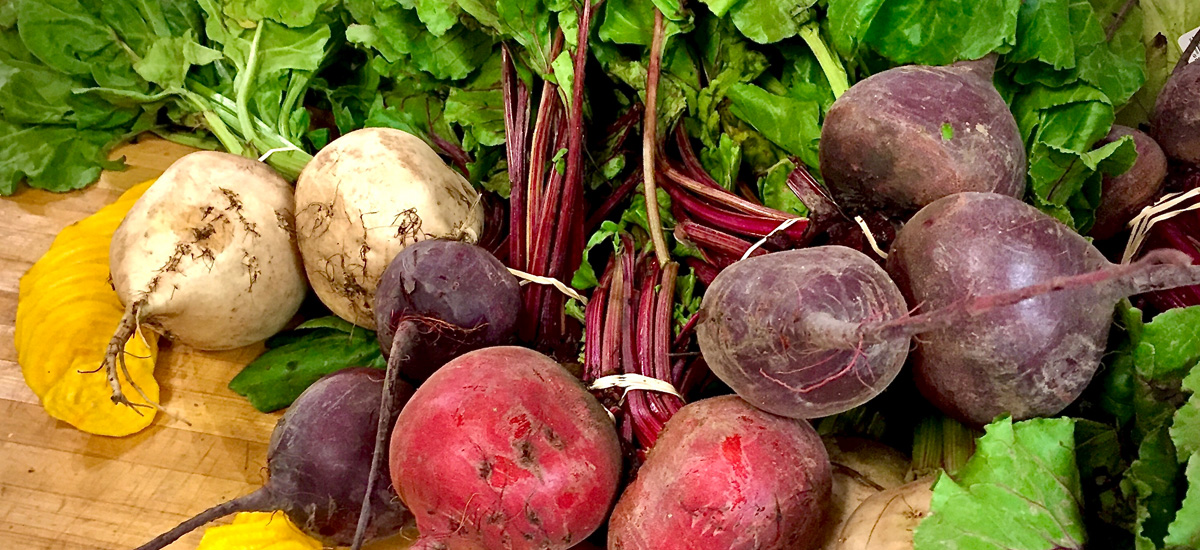 Vergeten Groenten - Horeca Van Zon